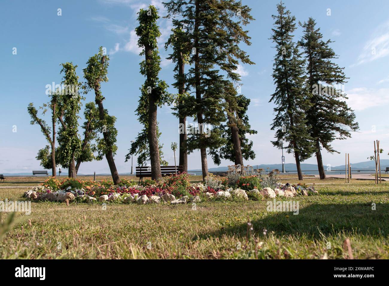 A scenic view of the town park located along the Danube riverside in ...