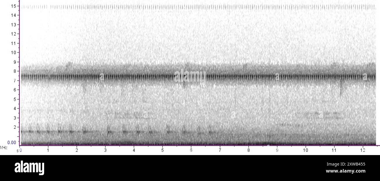 Tinkling hi-res stock photography and images - Alamy