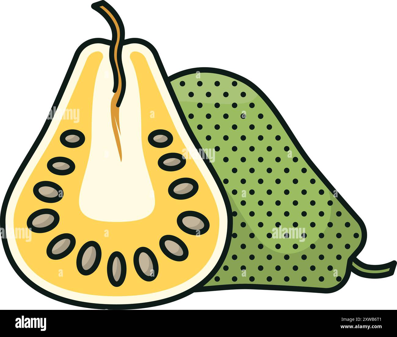Jackfruit on white background Stock Vector Images - Alamy