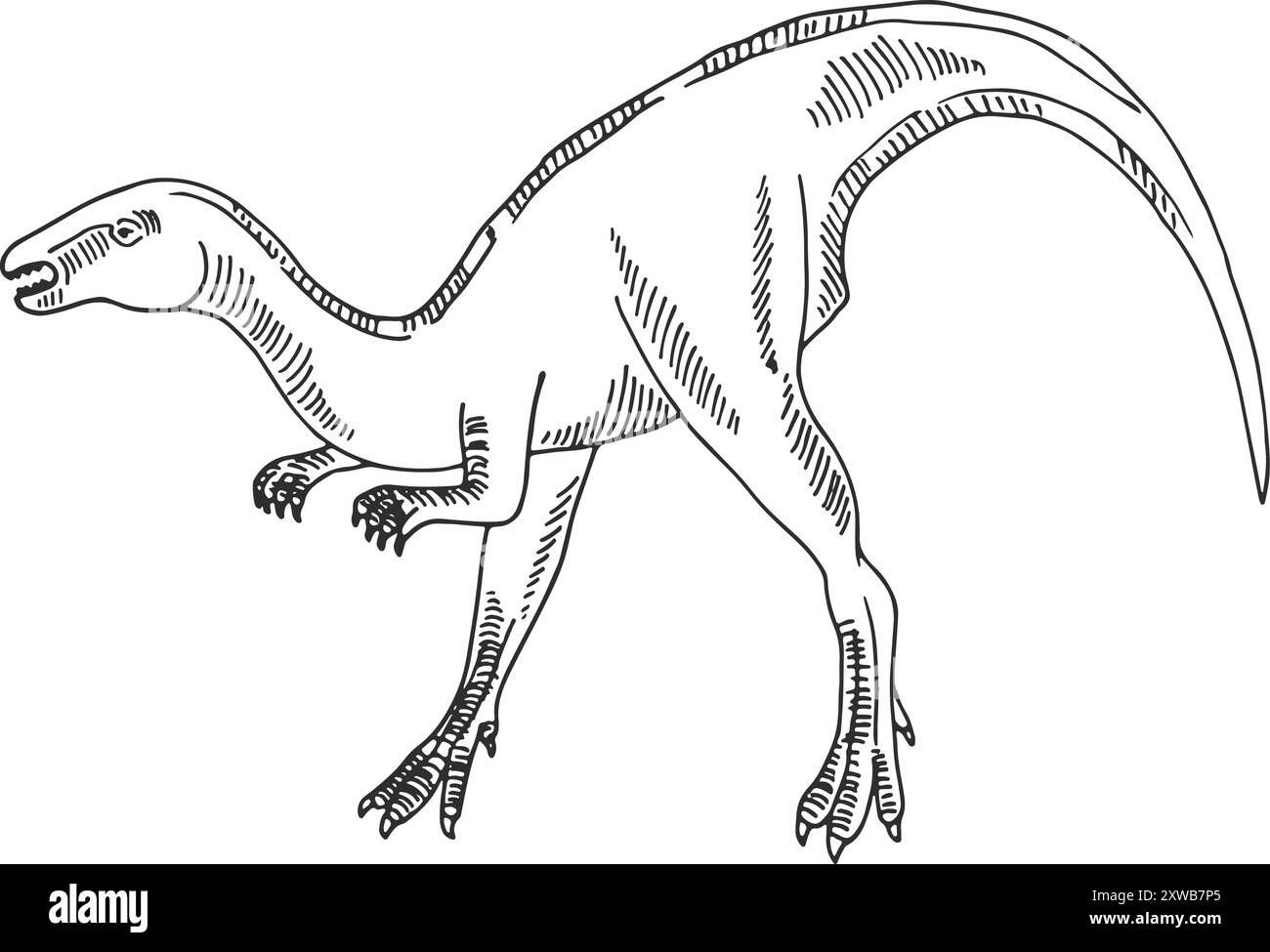 Velociraptor sketch. Hand drawn dinosaur. Ancient animal Stock Vector ...