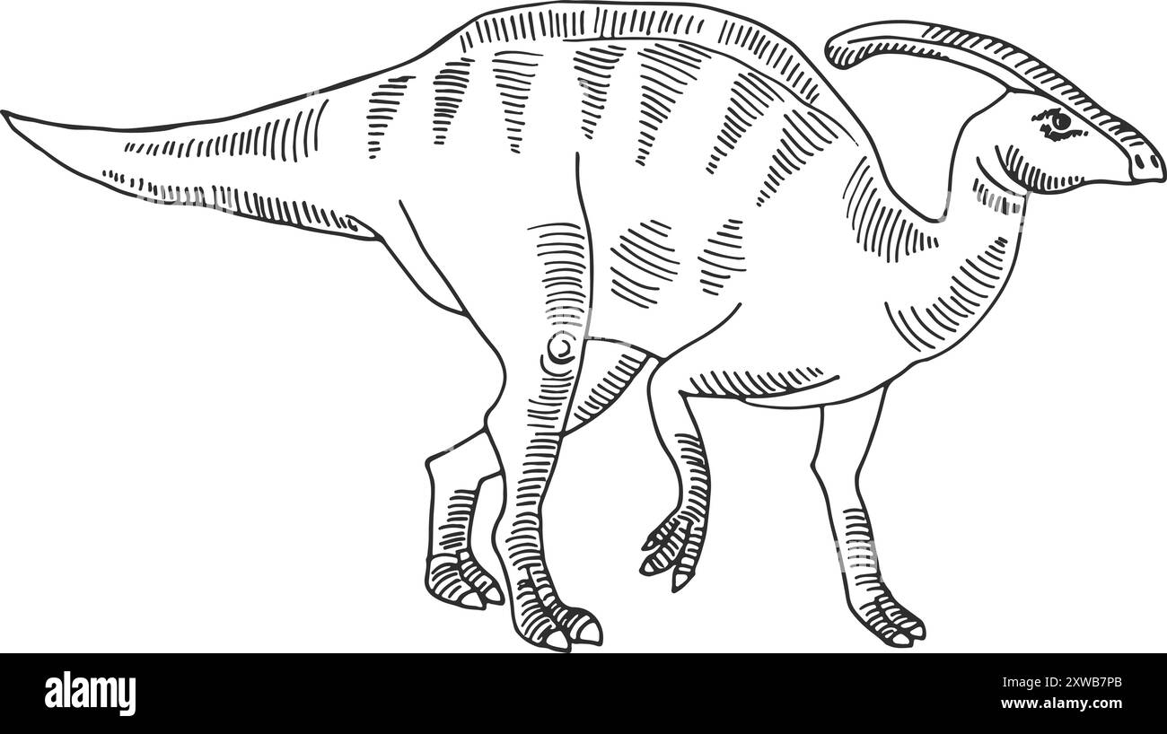 Parasaurolophus drawing. Ancient predator. Prehistoric reptile sketch ...