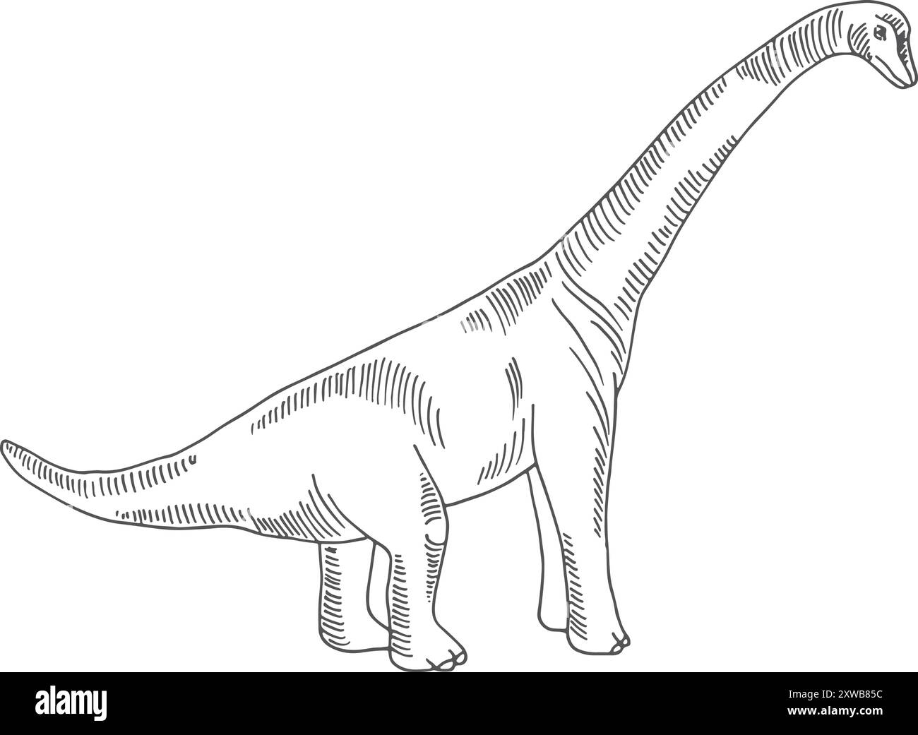 Brachiosaurus sketch. Ancient dinosaur. Jurassic wild reptile Stock ...