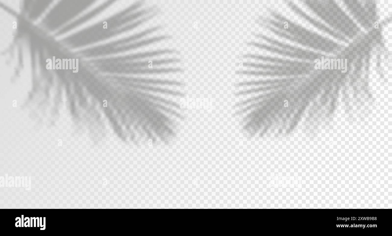 Sun glare plants Stock Vector Images - Alamy