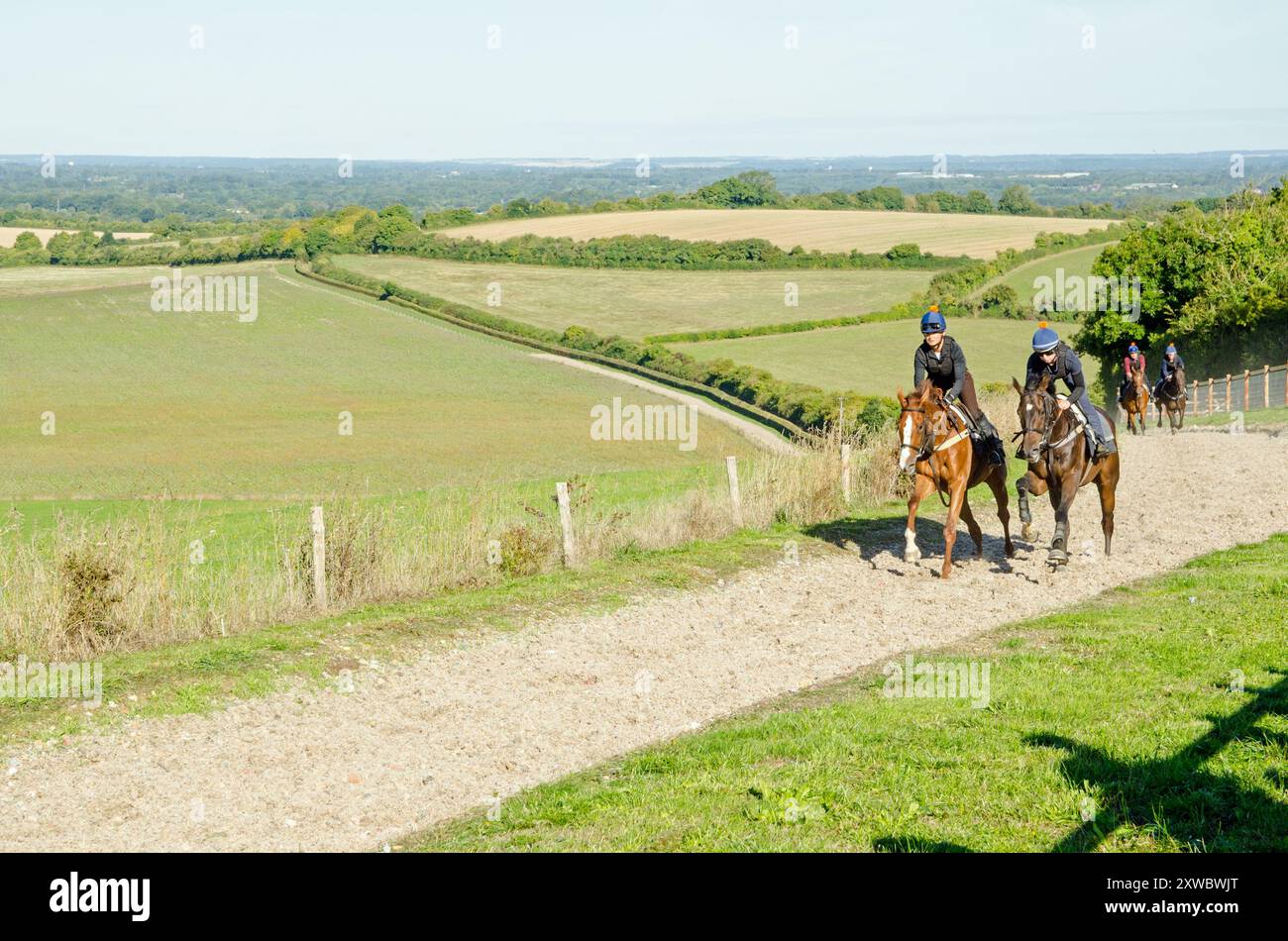 Richard bandy racing hi-res stock photography and images - Alamy
