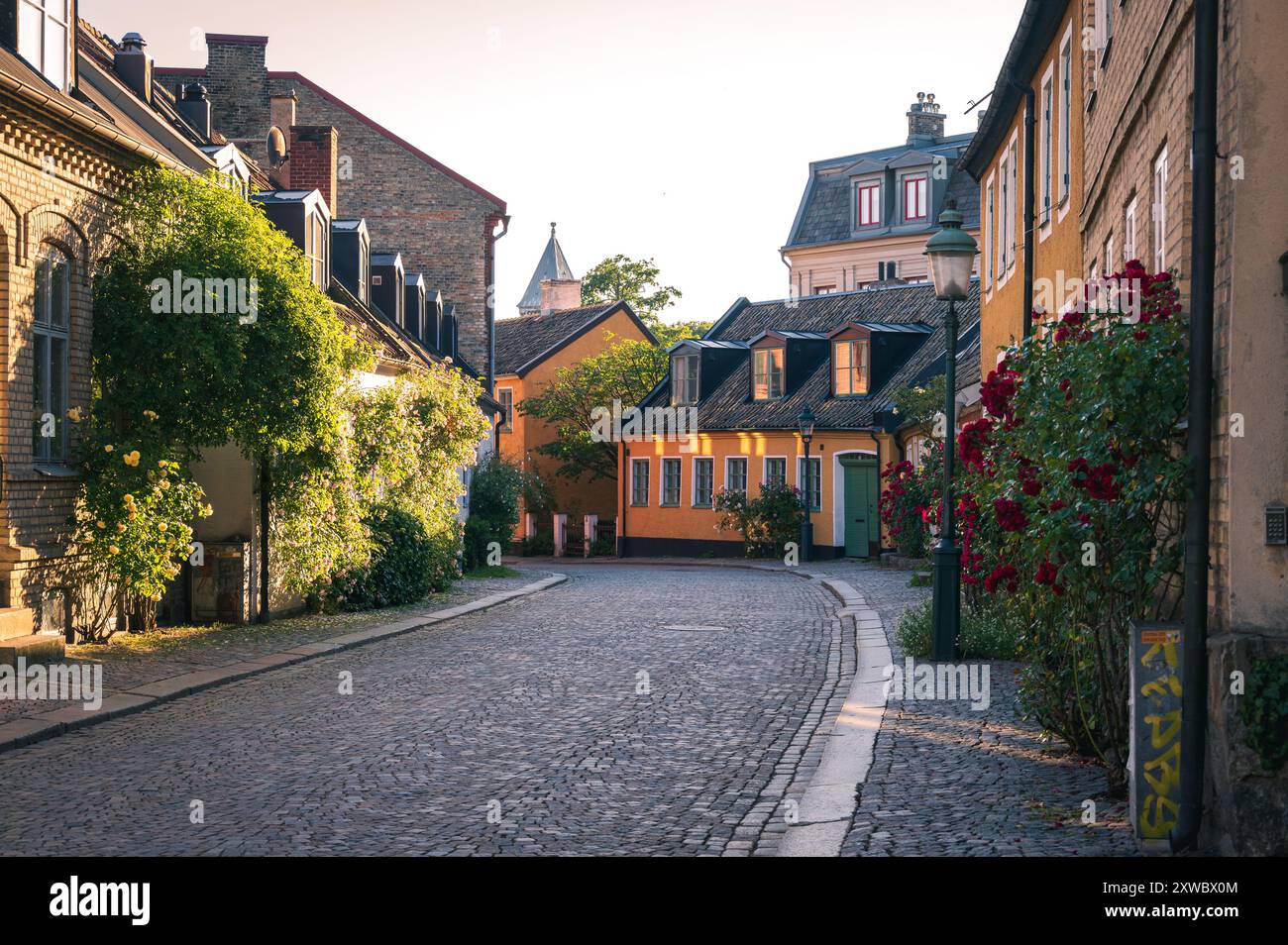The street Adelgatan bordered with colorful town houses and blooming ...
