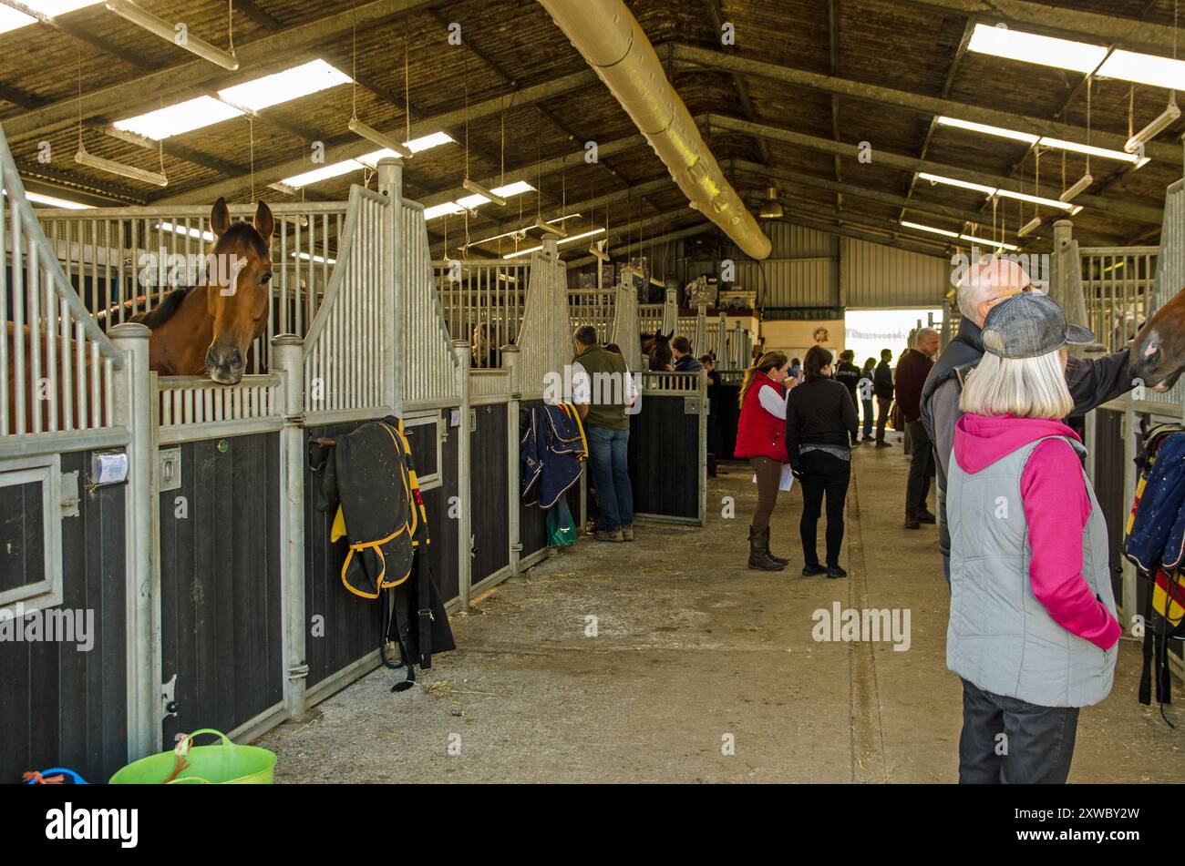 Richard bandy racing hi-res stock photography and images - Alamy