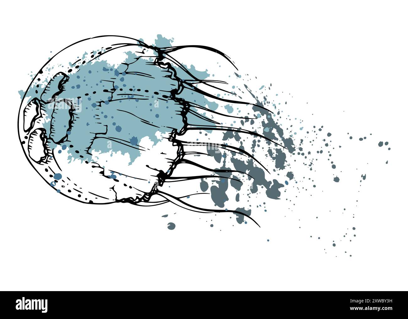 Jellyfish medusa splash Marine life, ocean underwater creature animal ...