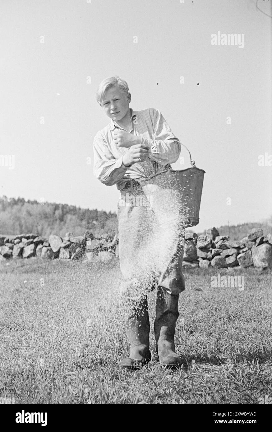 Saltpeter war hi-res stock photography and images - Alamy