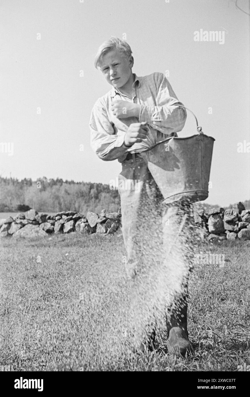 Saltpeter war hi-res stock photography and images - Alamy