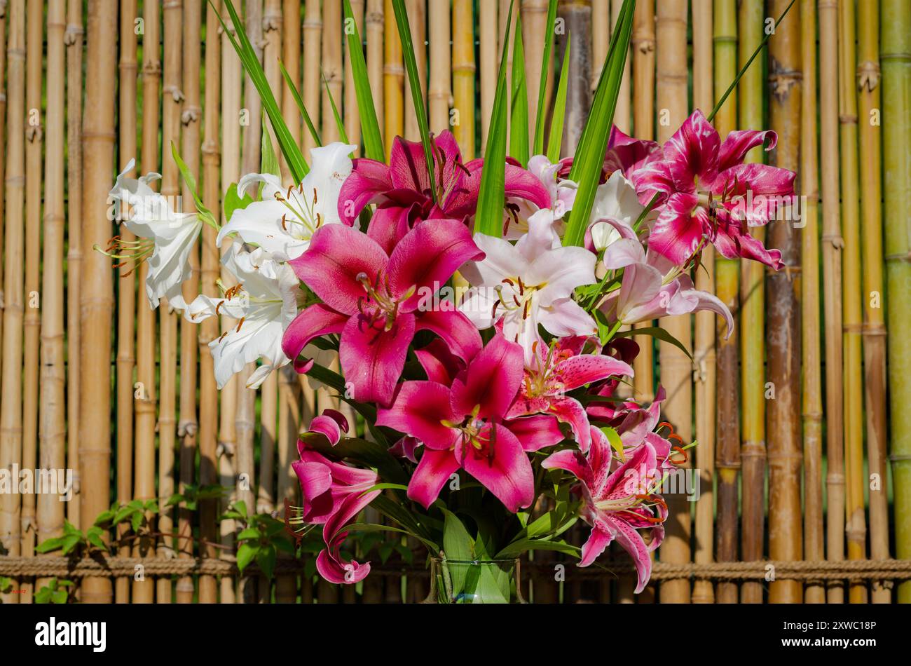 Bouquet rose et blanc hi-res stock photography and images - Alamy