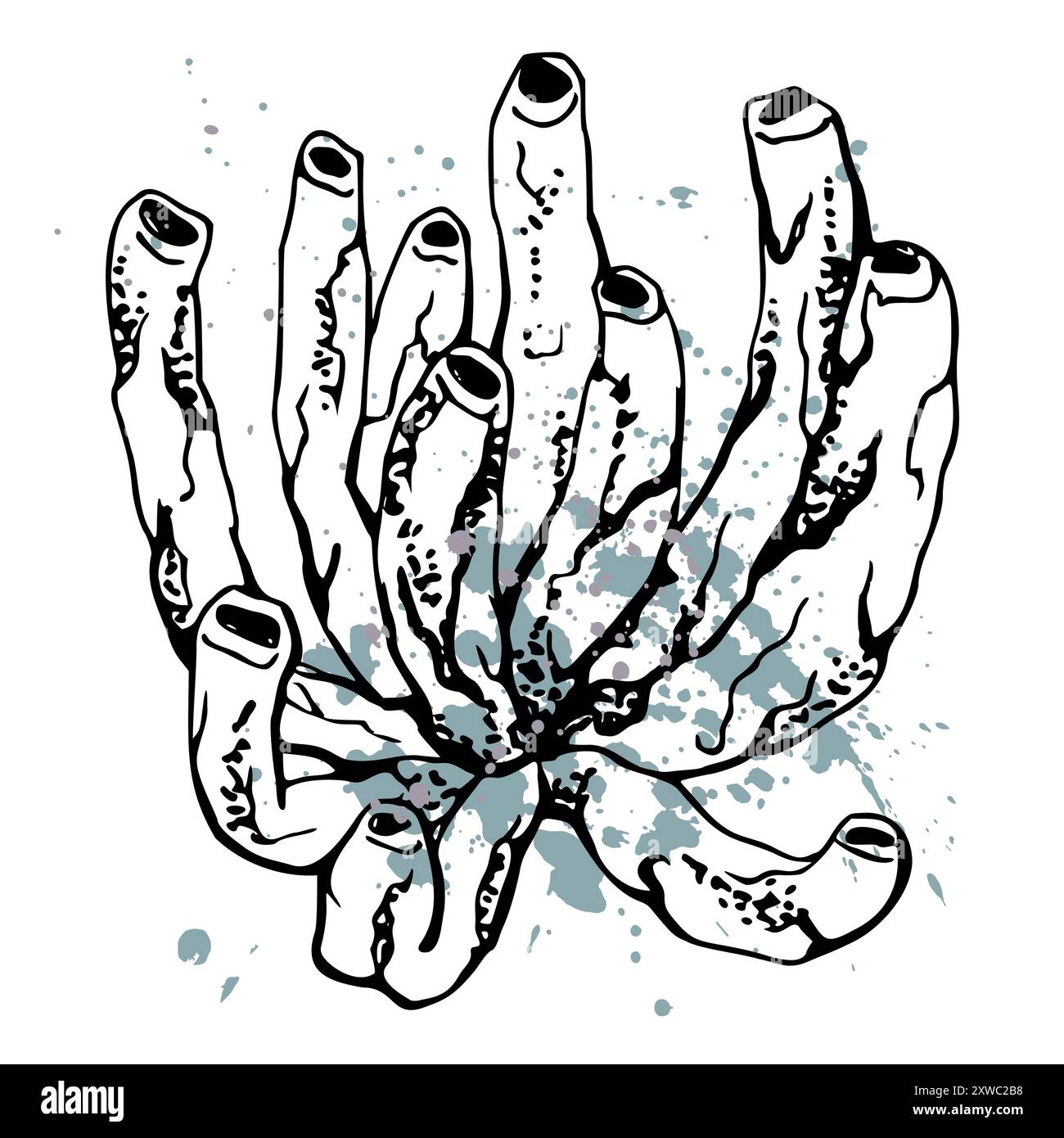 Coral sponge polyp splash Marine life, sea ocean underwater creatures ...