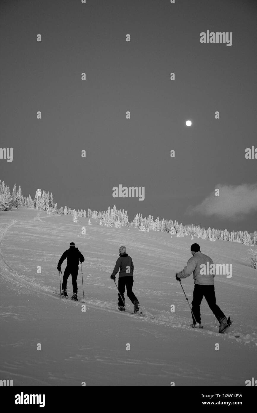 Two male skiers and one female skier head out on a full moon ski from ...