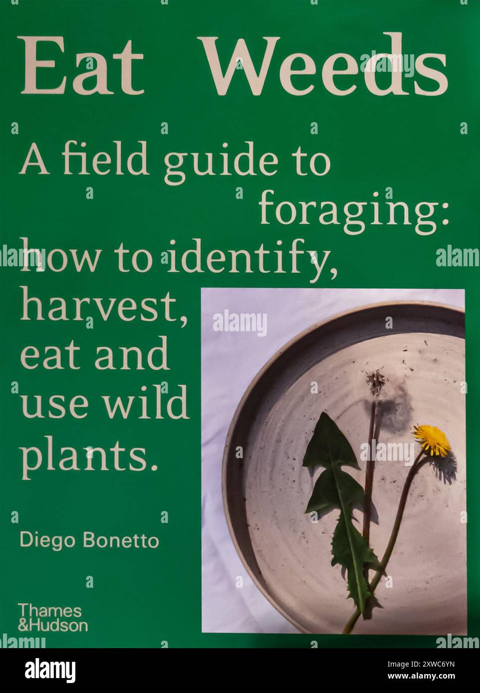 Eat Weeds: A Field Guide to Foraging: How to Identify, Harvest, Eat and ...