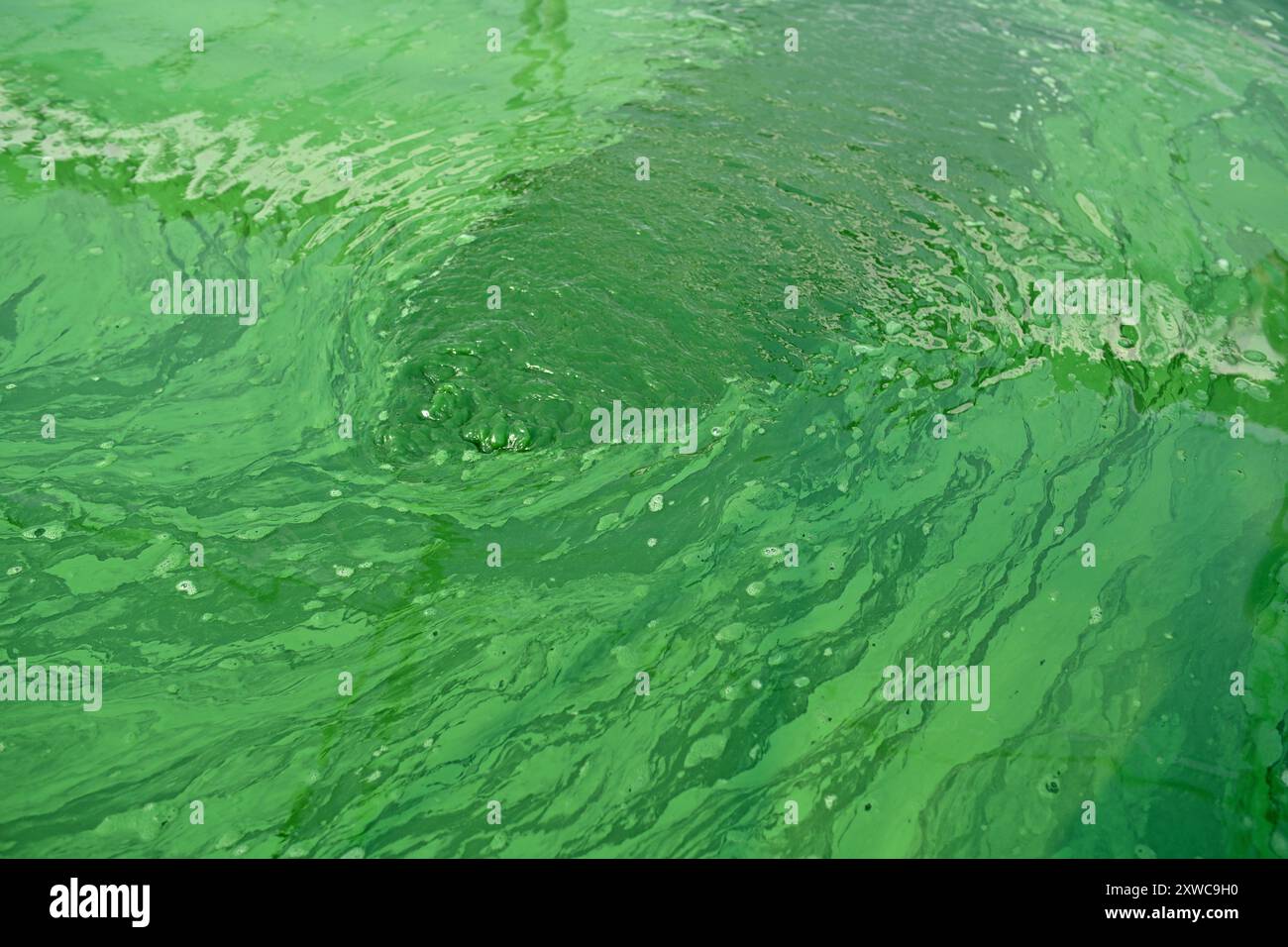 Vourles (central-eastern France): Spiralin, company specialized in the ...