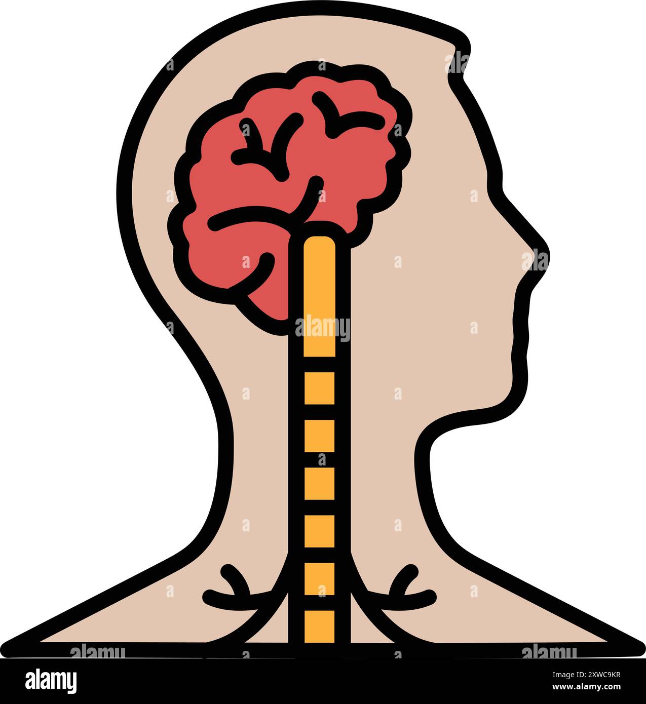 Think stem Stock Vector Images - Alamy