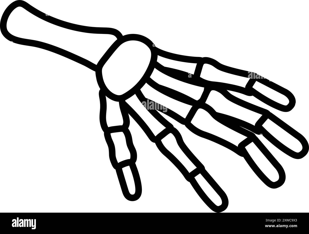 A skeleton hand is drawn in black on a white background. The skeleton ...