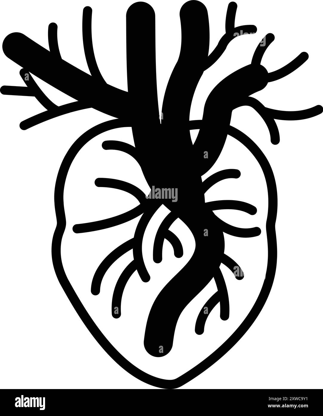 Heart anatomy in detail Black and White Stock Photos & Images - Alamy
