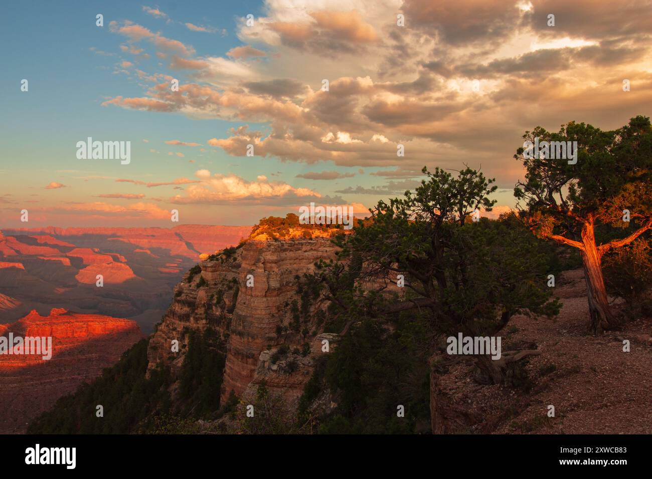 Grand Canyon cliff view, South Rim, before sunset Stock Photo - Alamy