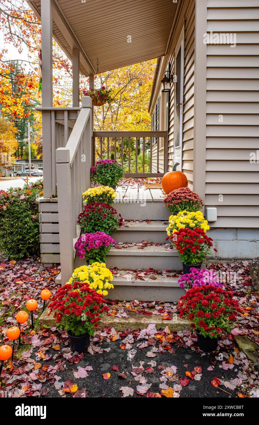 Front porch decorated for autumn with mums and pumpkins Stock Photo - Alamy