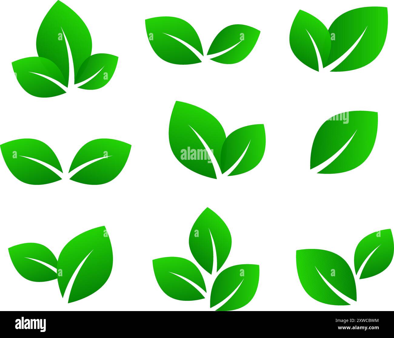 Leaves decoration icon plant Stock Vector Images - Alamy