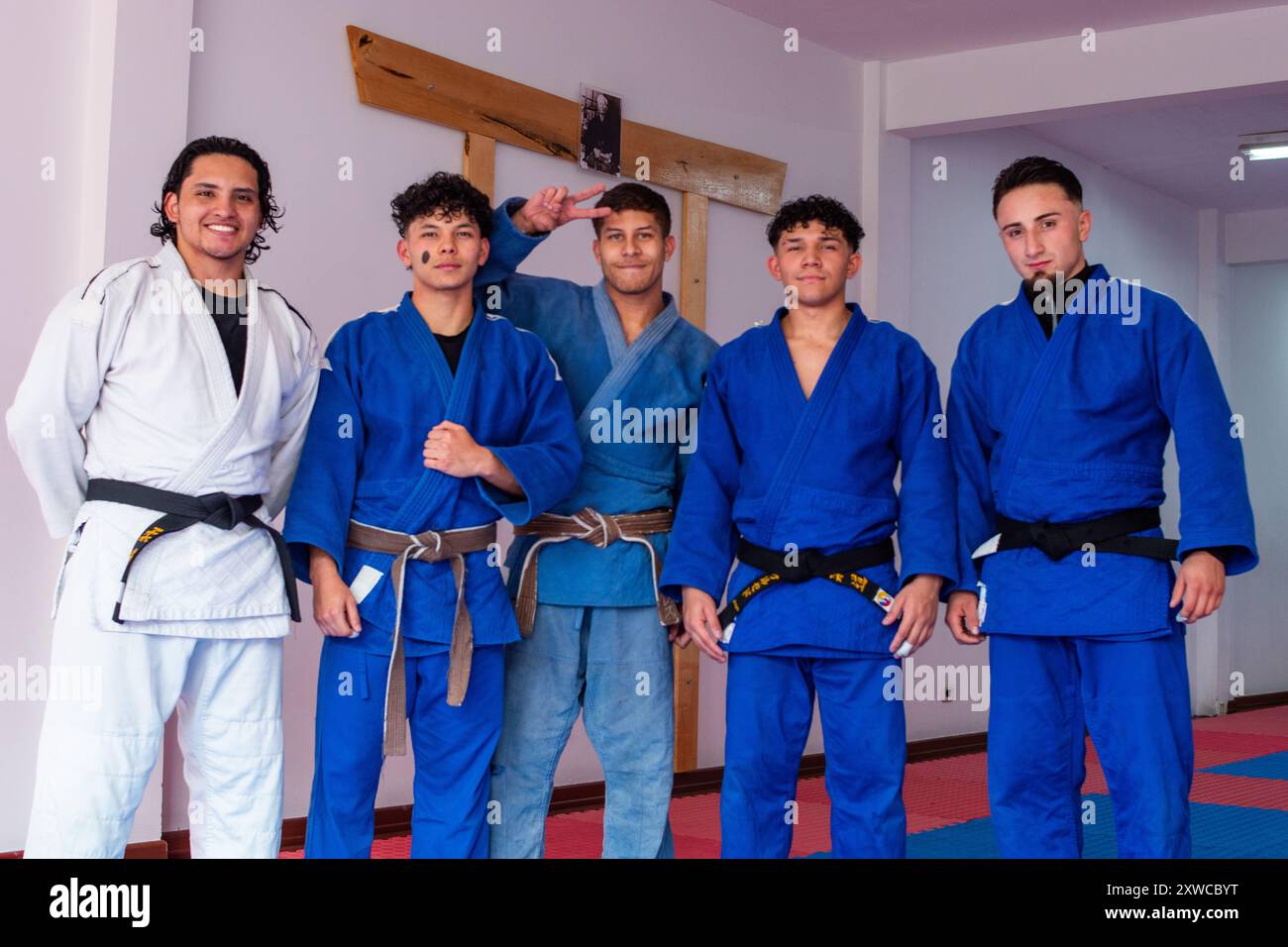 Judo fighter portrait in dojo Stock Photo - Alamy