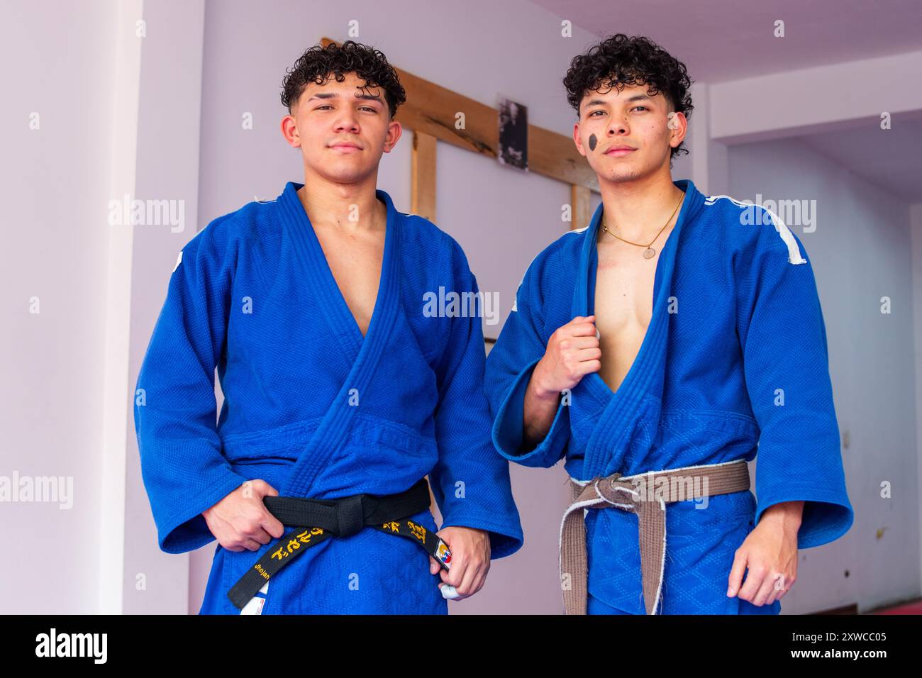 Judo fighter portrait in dojo Stock Photo - Alamy