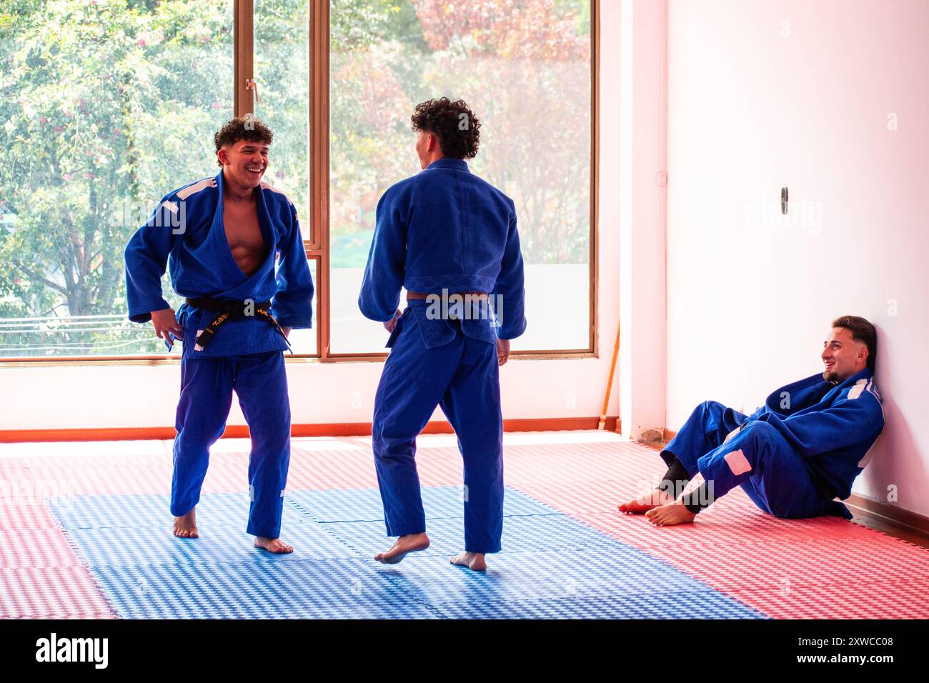Happy judo fighters in judo training in dojo Stock Photo - Alamy
