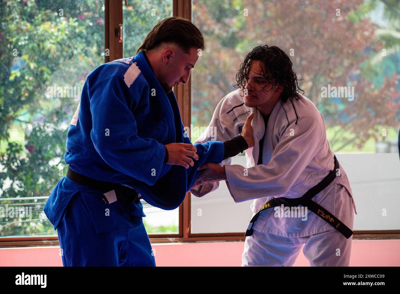 Judo fighters fighting in dojo with big windows at background Stock ...
