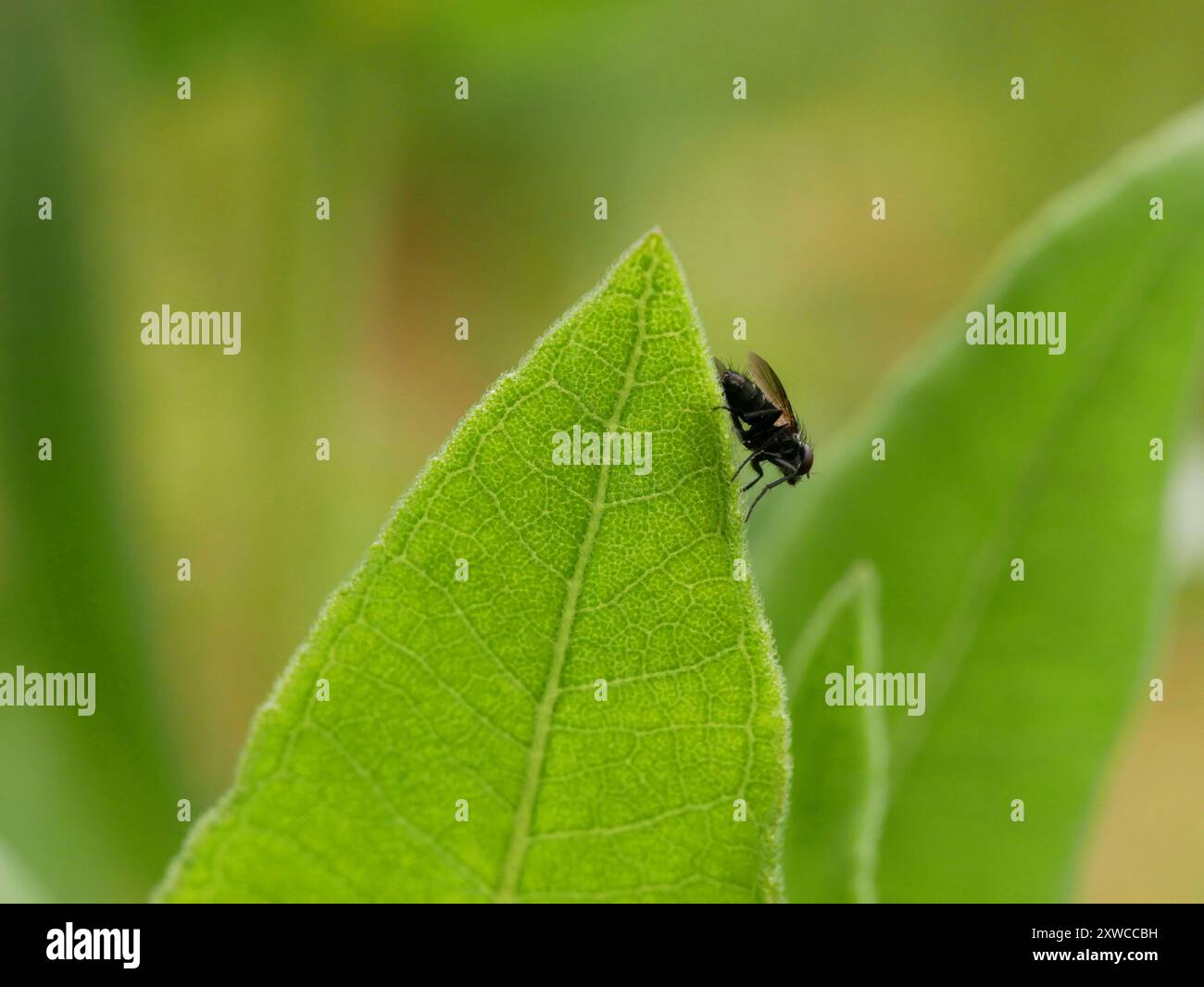 Relax meditation hi-res stock photography and images - Alamy