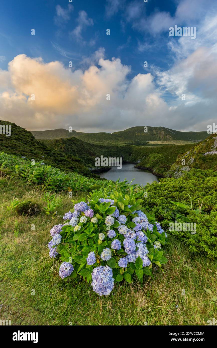 Flowers Lagoon on Island in Azores Stock Photo - Alamy
