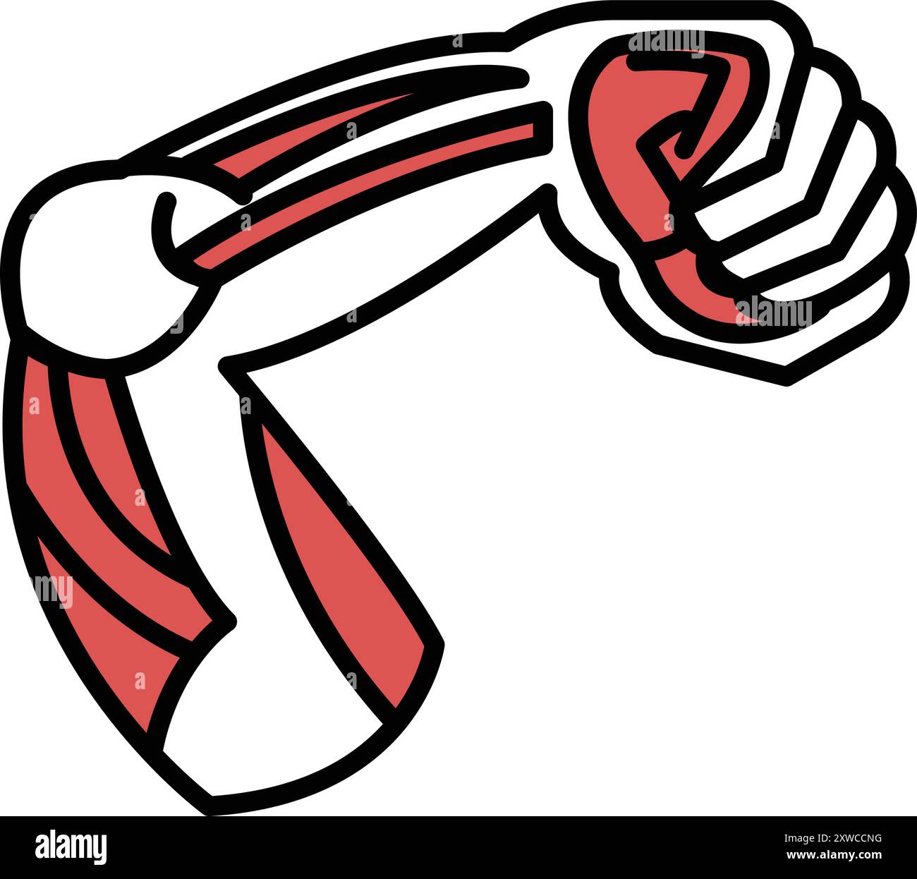 Biceps muscle anatomy diagram hi-res stock photography and images - Alamy