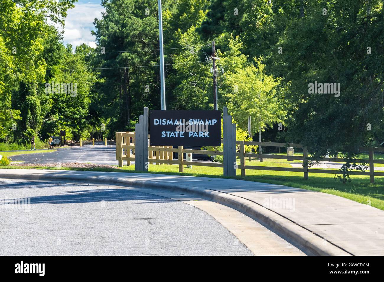 An entrance road going to Dismal Swamp SP, North Carolina Stock Photo ...