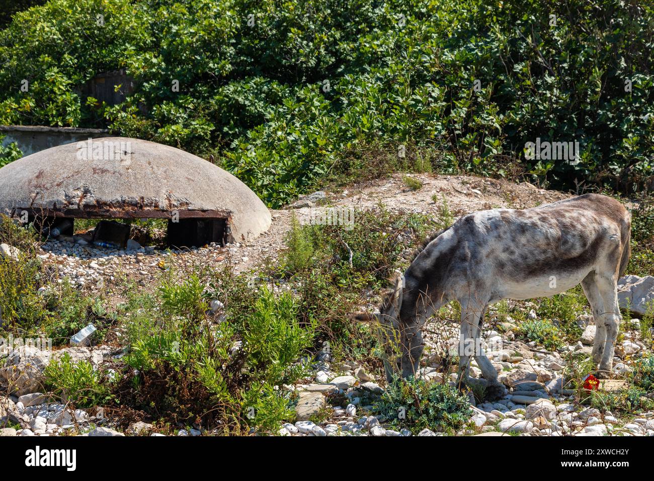 Sazan is an Albanian uninhabited island in the Mediterranean Sea. It us ...