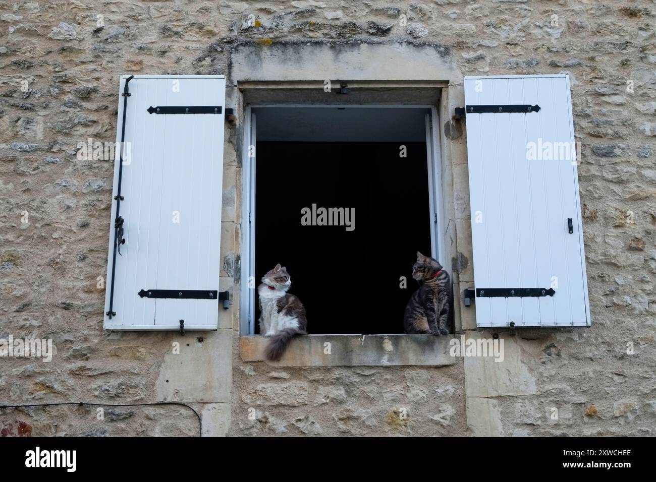 Cats in the window of a house in Rue Jean Jacques Rousseau Civray ...