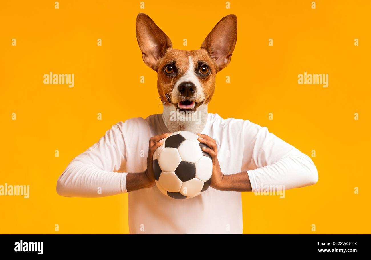 Dog With Human Body Holding Soccer Ball Over Yellow Background Stock ...