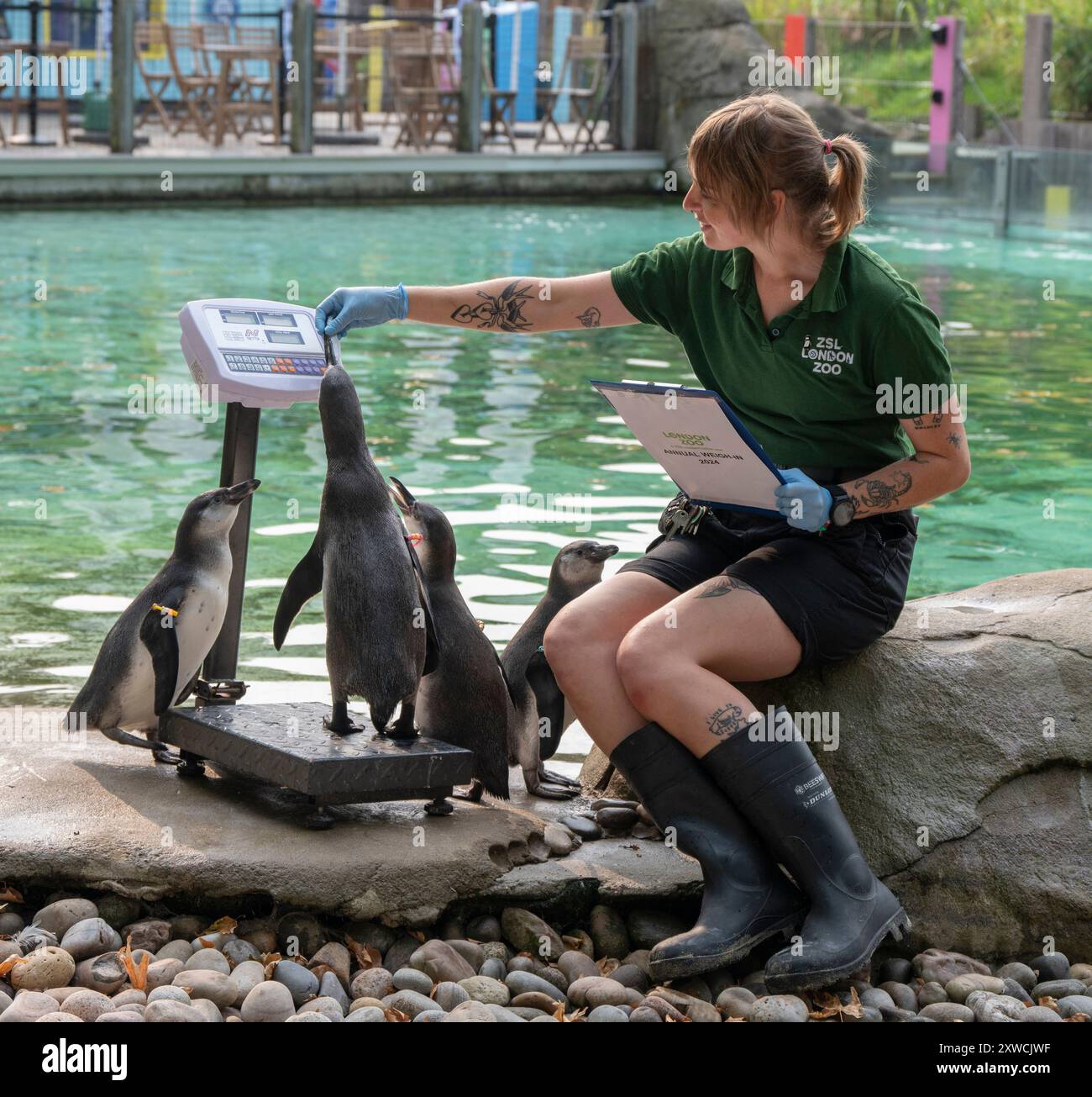 ZSL London Zoo, Regent's Park, London, UK. 19th Aug, 2024. The Annual ...