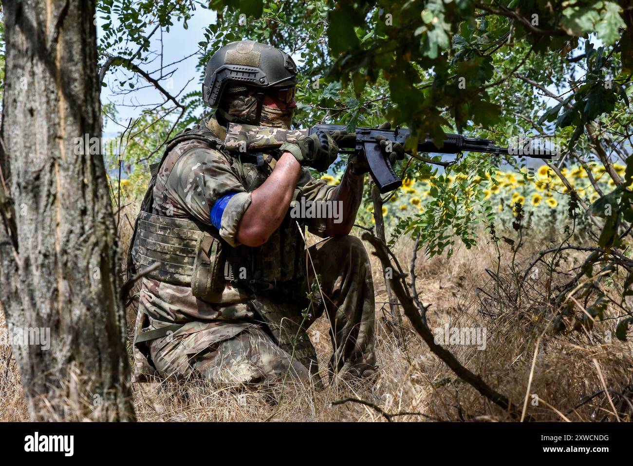 Ukraine regular infantry brigade hi-res stock photography and images ...