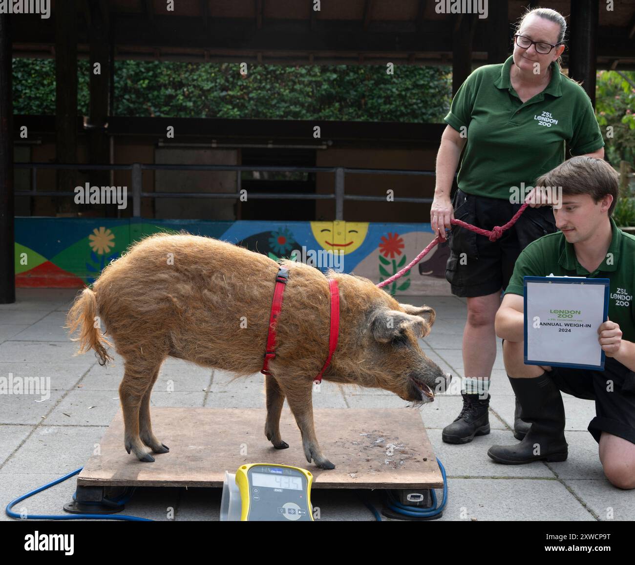 ZSL London Zoo, Regent's Park, London, UK. 19th Aug, 2024. The Annual ...