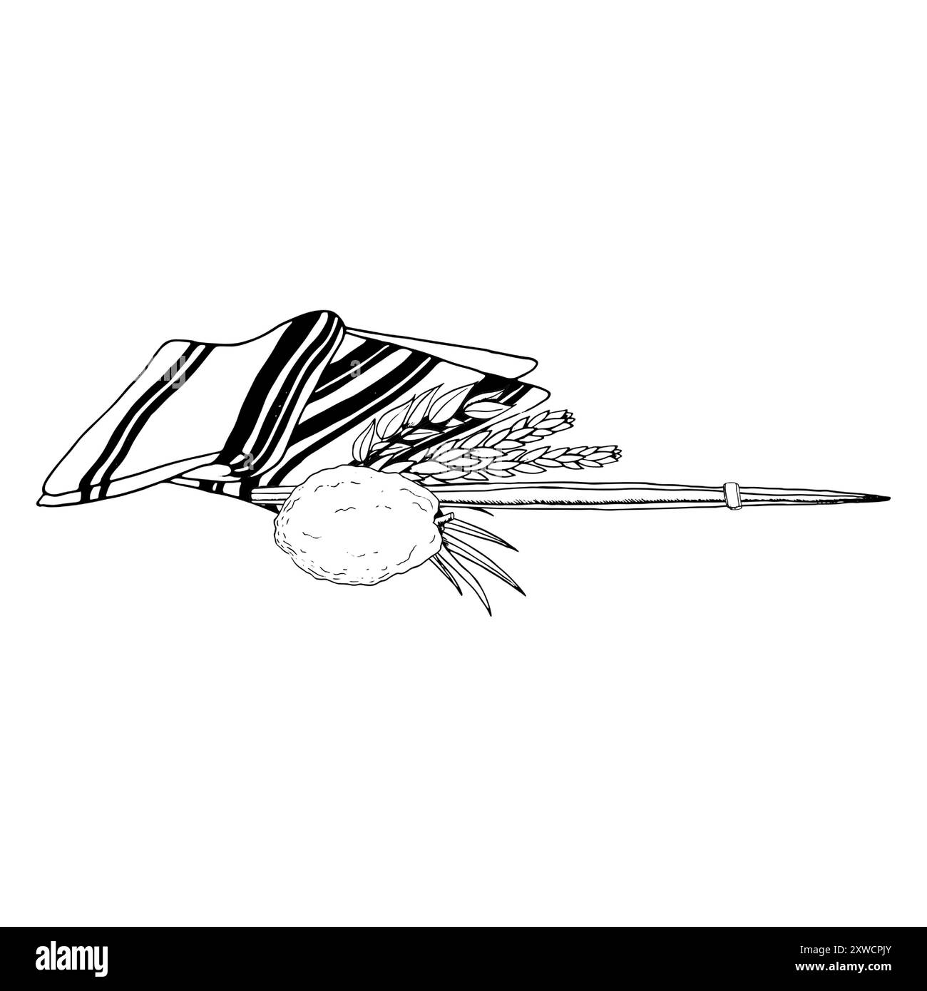 Traditional symbols etrog lulav Stock Vector Images - Alamy