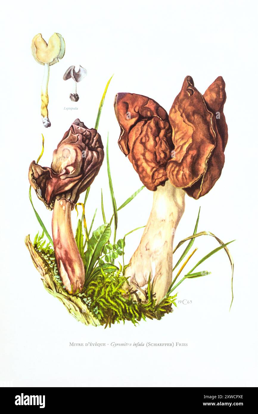 Illustration by Claus Caspari from the "Collection de Documents d ...