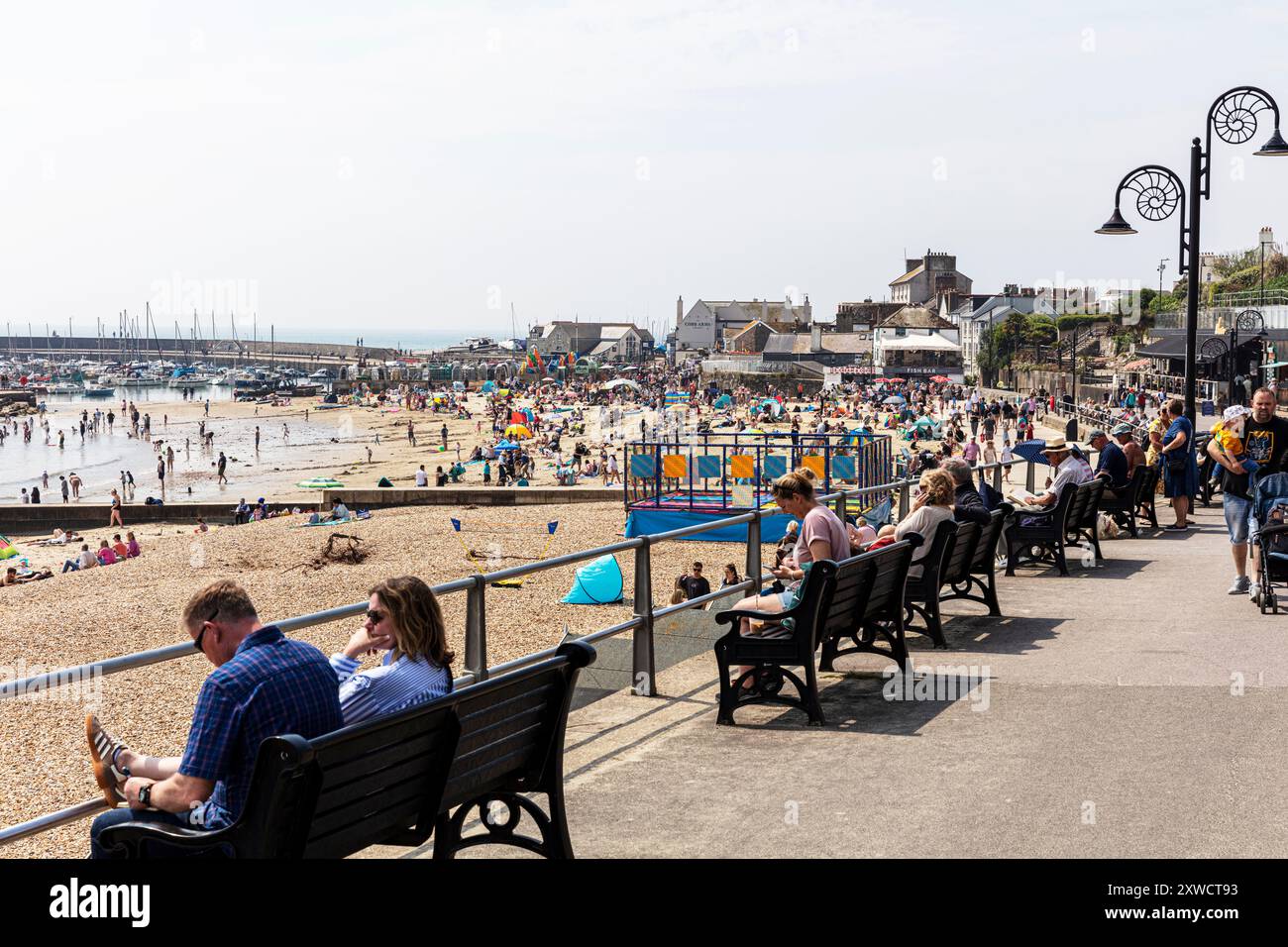 Lyme Regis beach, Lyme Regis, Dorset, UK, England, sunbathers ...