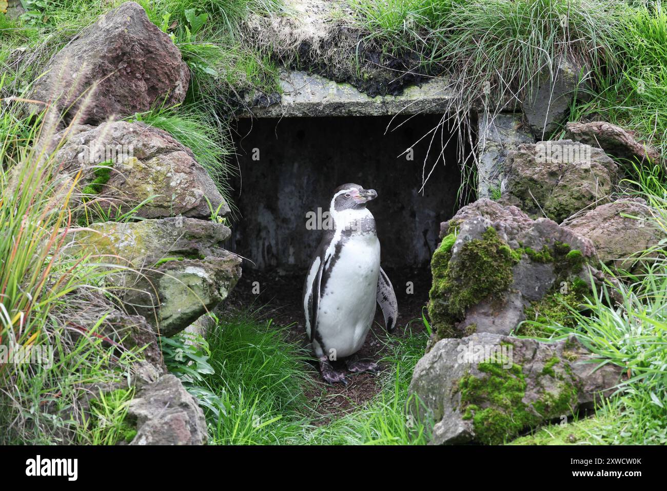Antarctica shelter hi-res stock photography and images - Alamy