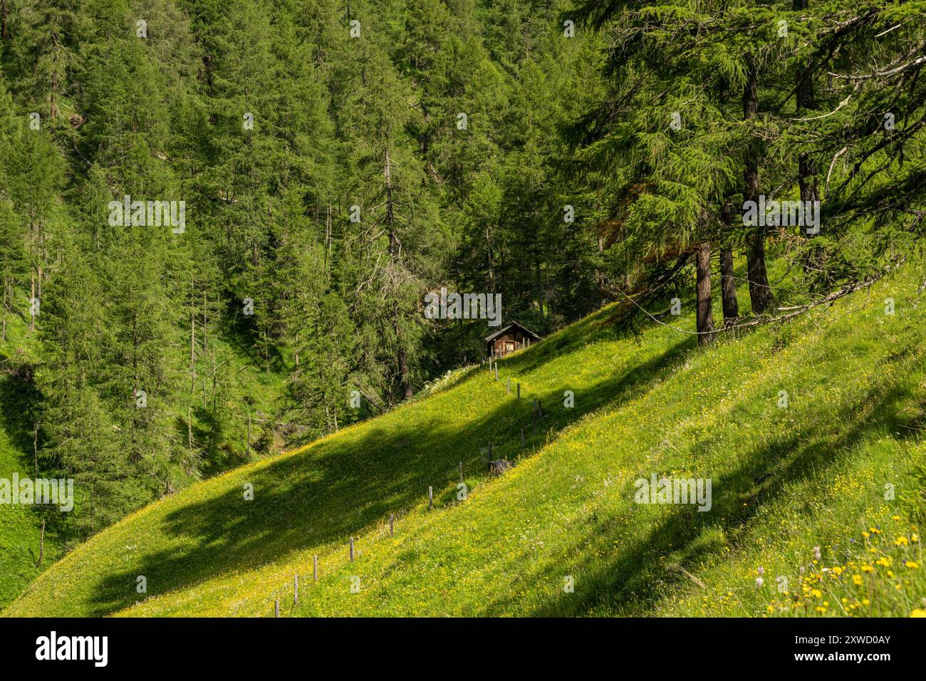 hiking in the high mountains of Tirol Stock Photo - Alamy
