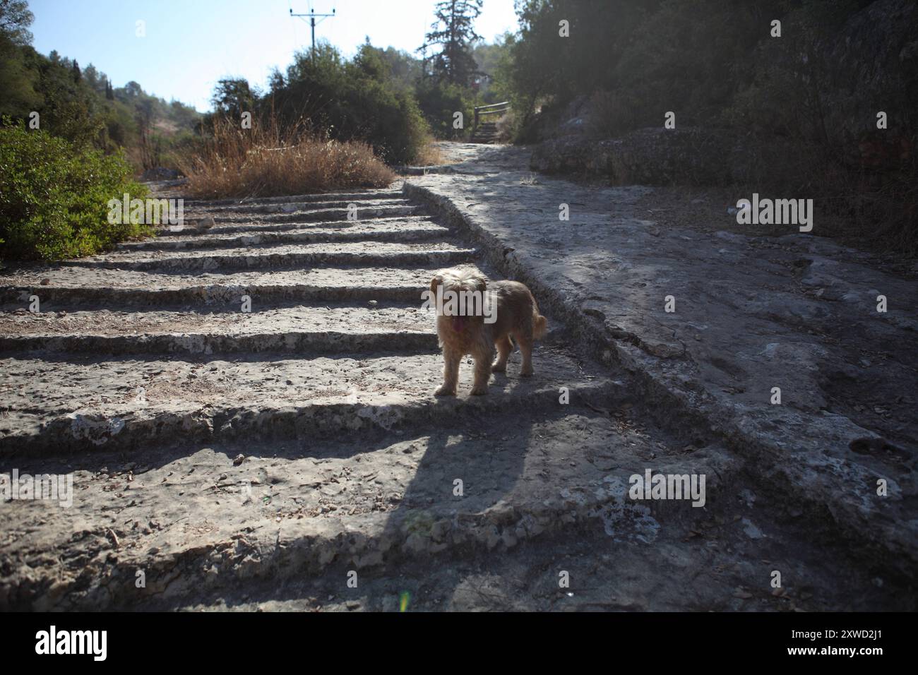 Caesar’s rock hi-res stock photography and images - Alamy