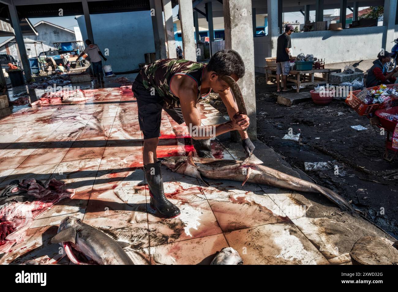 Tanjung Luar Fish market, Luar Cape, Lombok, Indonesia, Asia Stock ...