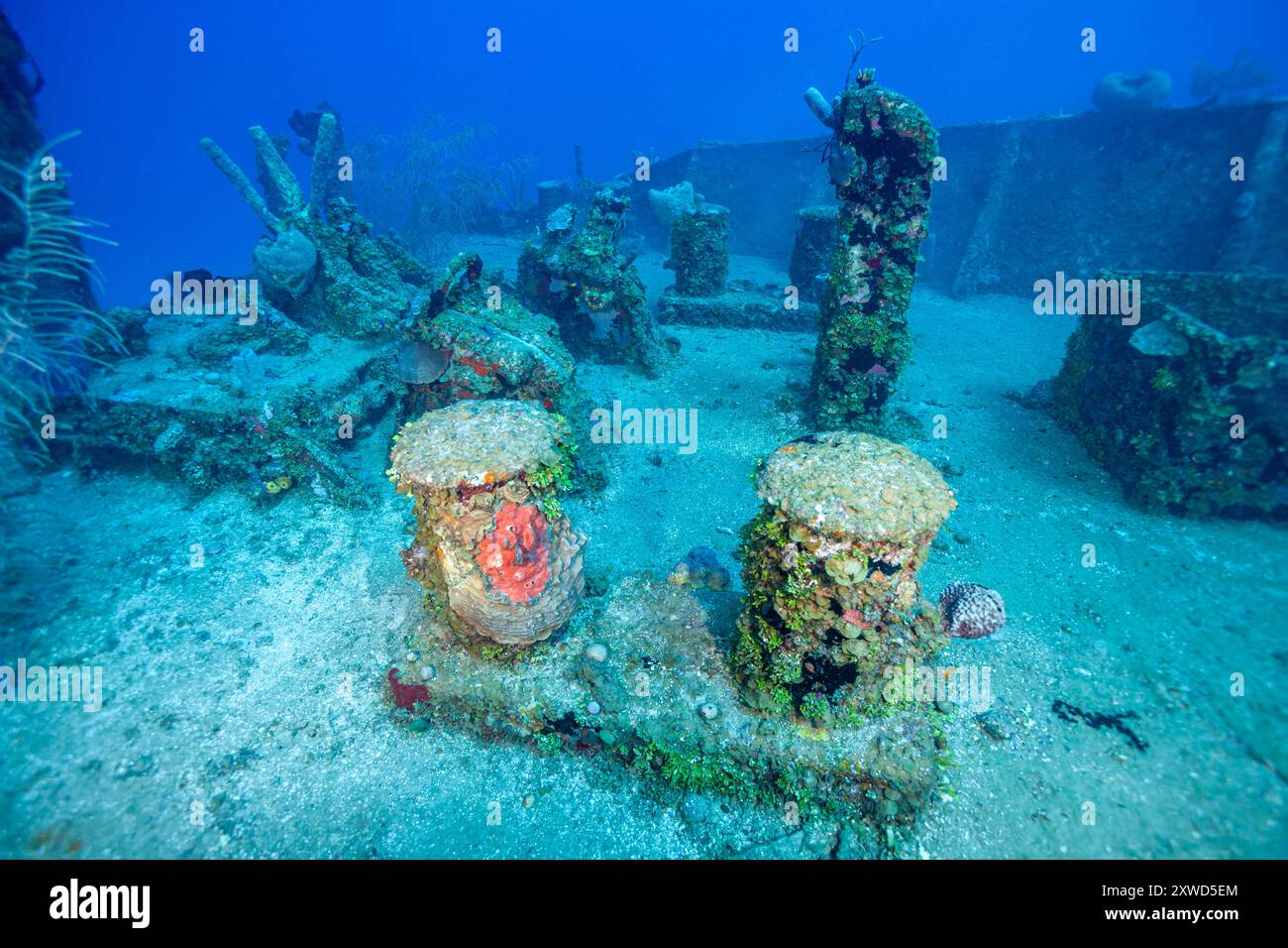 Honduras, Roatan, El Aguila shipwreck Stock Photo - Alamy