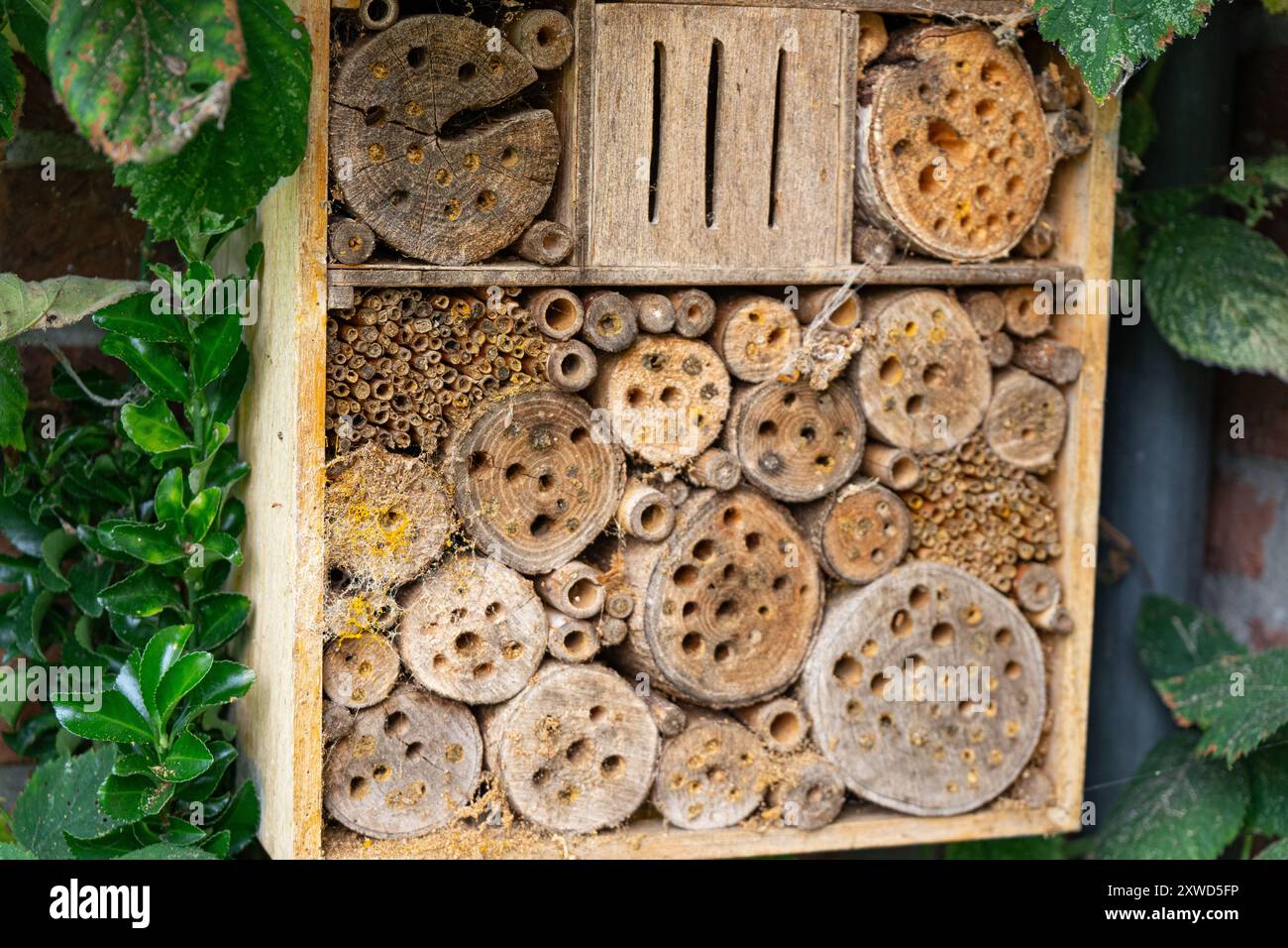 A hotel for insects hi-res stock photography and images - Alamy
