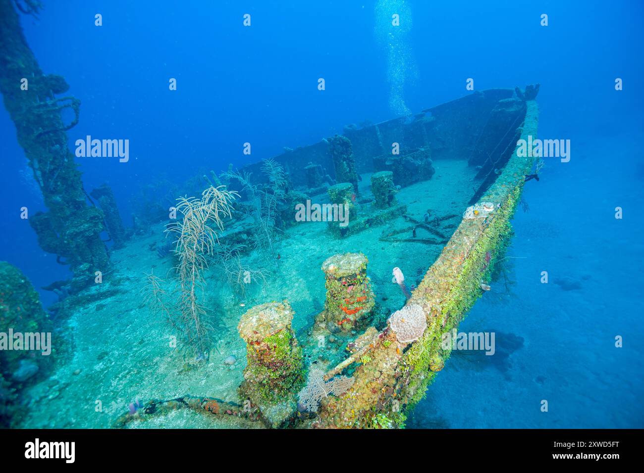 Honduras, Roatan, El Aguila shipwreck Stock Photo - Alamy