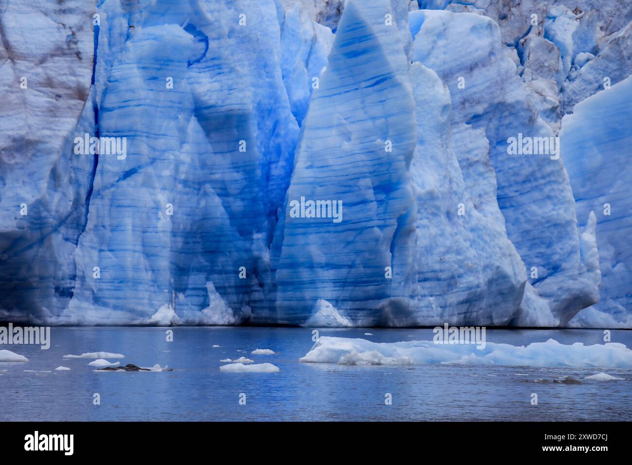Close up View to the Grey Glacier, the Southern Patagonian Ice Field ...