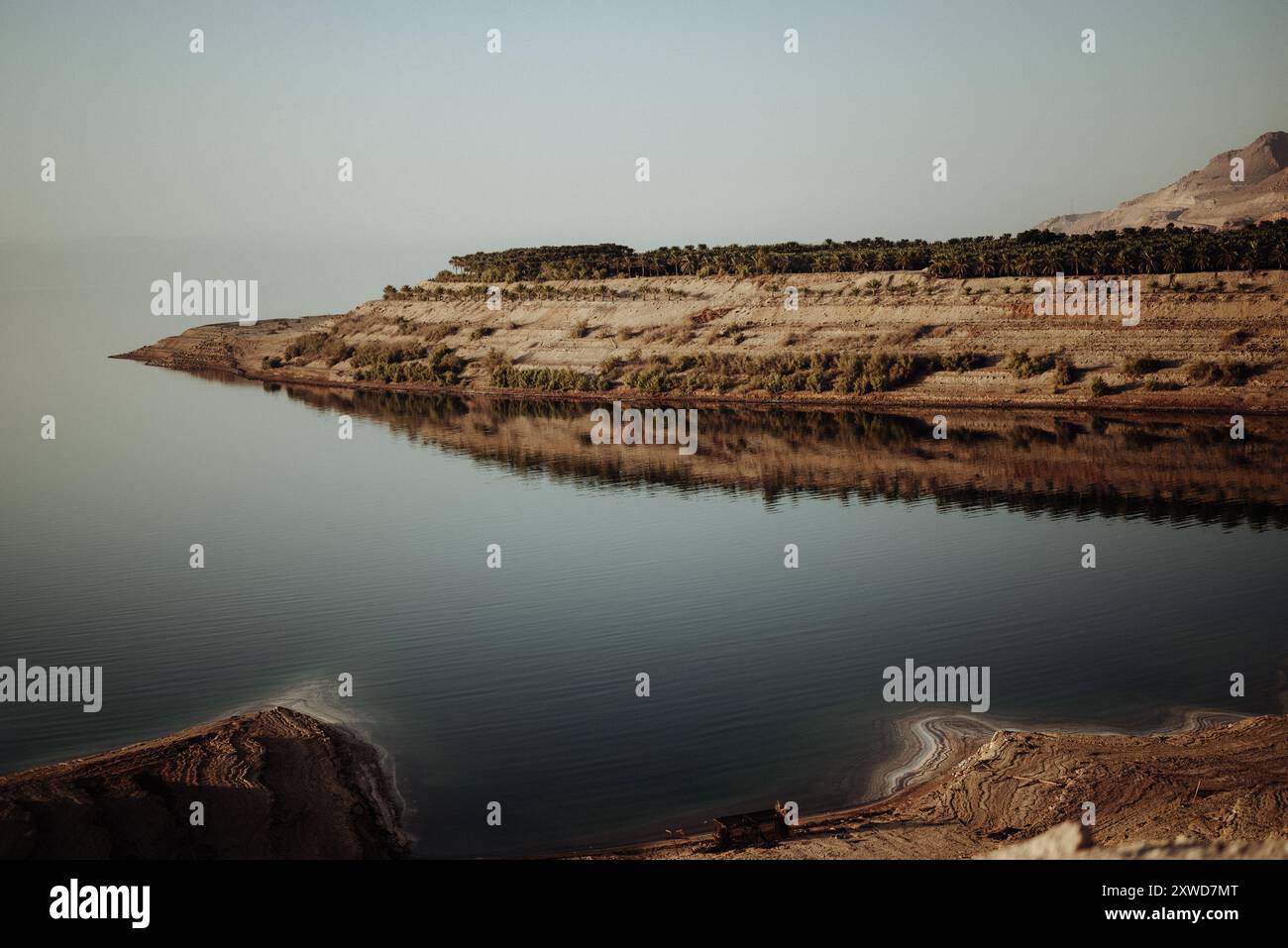 dead sea jordan Stock Photo - Alamy